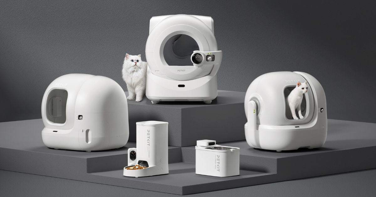 Smart Pet Products Dubai | Official Petkit Distributor in UAE – Petkit ...